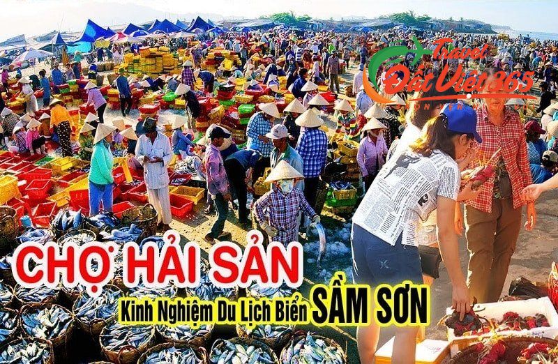 Tour Du Lịch Sầm Sơn 3 ngày 2 đêm từ Hưng Yên - Tour Đất Việt