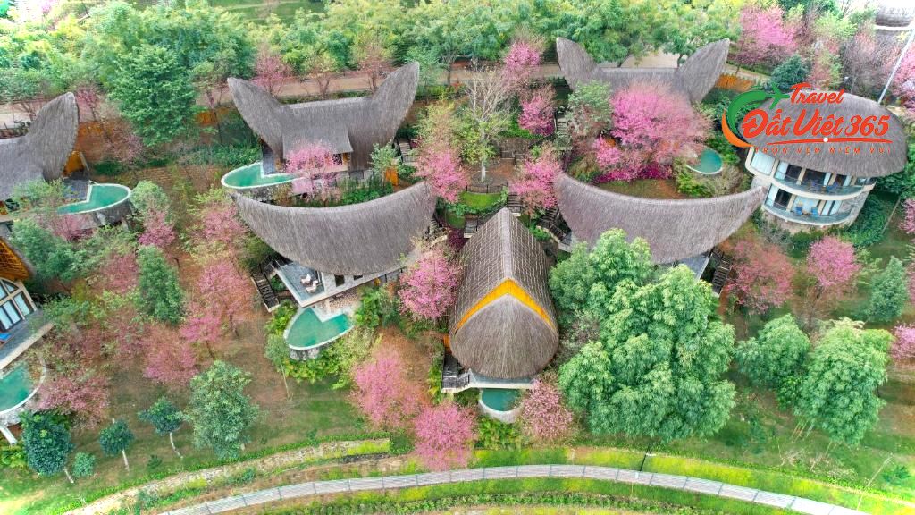 Bảng Giá Phòng Garrya Mù Cang Chải Resort ! Review Kinh Nghiệm Du Lịch - Tour Đất Việt